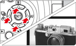 How to shoot using Live View on the EOS Digital Rebel XS.