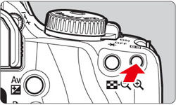 How to shoot using Live View on the EOS Digital Rebel XS.