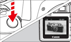 How to shoot using Live View on the EOS Digital Rebel XS.