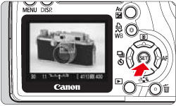 How to shoot using Live View on the EOS Digital Rebel XS.