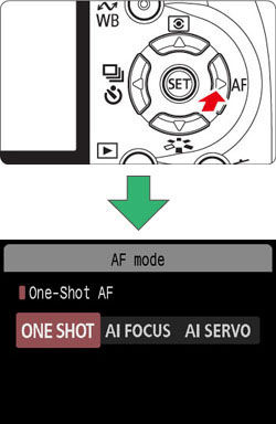 How to shoot using Live View on the EOS Digital Rebel XS.