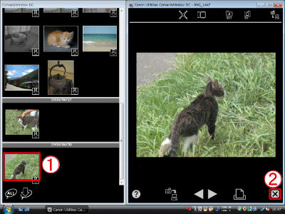 Uploading images from the computer to the camera using ZoomBrowser EX ...