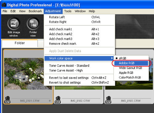 How to set a work color space in Digital Photo Professional when ...