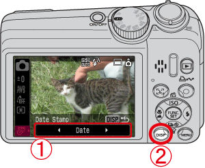 Procedure for setting the Date Stamp on PowerShot A1000 IS and A2000 IS.