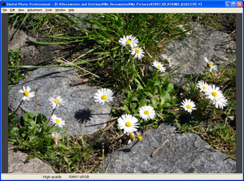 How to trim an image using Digital Photo Professional (DPP).