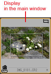 How to trim an image using Digital Photo Professional (DPP).