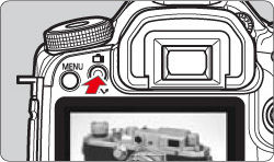 How do I shoot using the Live View function? (EOS 50D)