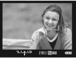 How do I shoot using the Live View function? (EOS 50D)