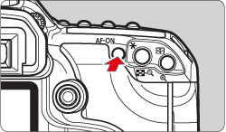 How do I shoot using the Live View function? (EOS 50D)