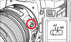 How do I shoot using the Live View function? (EOS 50D)