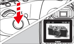 How do I shoot using the Live View function? (EOS 50D)