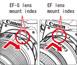 AF (Autofocus) does not work(EOS50D)