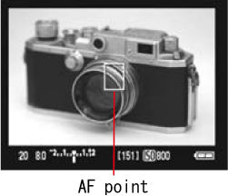 How do I shoot using the Live View function? (EOS 50D)