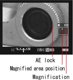 How do I shoot using the Live View function? (EOS 50D)