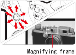 How do I shoot using the Live View function? (EOS 50D)