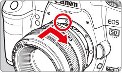 AF (Autofocus) does not work (EOS 5D Mark III)