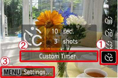 Setting the Self-Timer changing the Delay Time and Number of Shots using the PowerShot SX200 IS.