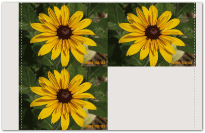 Choosing a Layout (Page Layout) and Printing (SELPHY CP910)