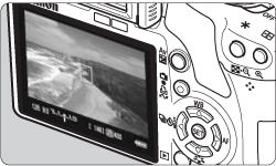 Easy Steps to Use the Live View Function of EOS REBEL T1i to Shoot ...