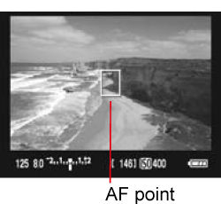 Easy Steps to Use the Live View Function of EOS REBEL T1i to Shoot Still Images