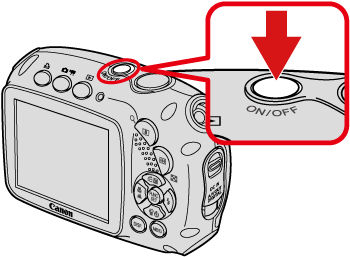 Setting the white balance to correct color using the PowerShot D10.