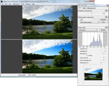 Converting RAW images using Digital Photo Professional in Windows.