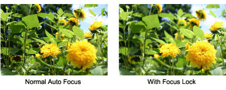 Shooting with Focus Lock (EOS M)
