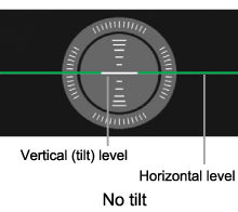 Displaying the Electronic Level When Shooting (EOS 5D Mark III)