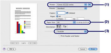Printing from Your Computer - iP2700 / iP2702