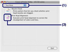 Perform Print Head Alignment - iP2700 / iP2702
