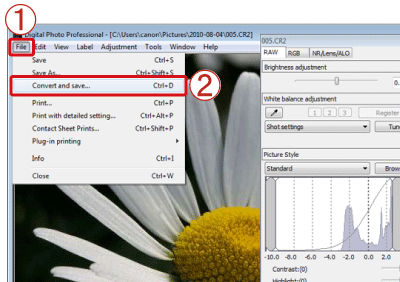 How to convert RAW images to JPEG or TIFF (Digital Photo Professional ...