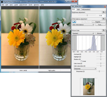 How to convert RAW images with Digital Photo Professional Ver.3.9 (Windows)