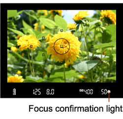 How to shoot with Focus Lock on the EOS 60D.