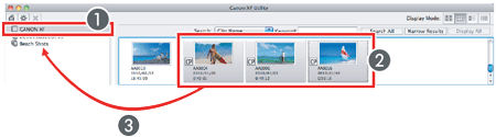 How to Import Video Clips from a CF Card Using Canon XF Utility