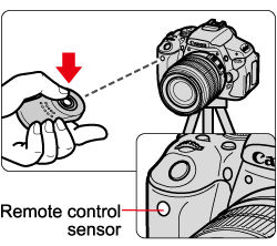 Remote switches compatible with the EOS Rebel T3i.
