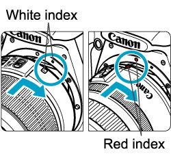 Troubleshooting steps to follow when AF (Autofocus) does not work on ...