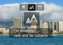 Images are blurry or not in focus