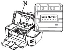 Reinstall the Printer Driver (iP4920)