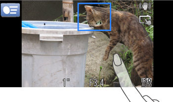 Touching the Screen to Shoot (Touch Shutter)