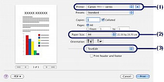 Printing from Your Computer (PIXMA PRO-1)