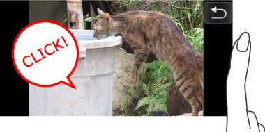 Touching the Screen to Shoot (Touch Shutter)