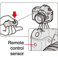 Compatible Remote Switch (EOS 5D Mark III)