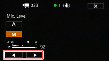 Changing the audio recording level (mic. level) when recording audio