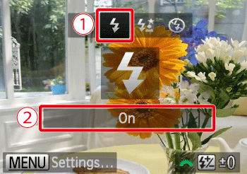 Setting the Flash (Flash On) (PowerShot SX500 IS / SX160 IS)