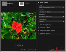 How to print the images using My Image Garden (Windows)