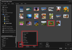 How to print the images using My Image Garden (Windows)