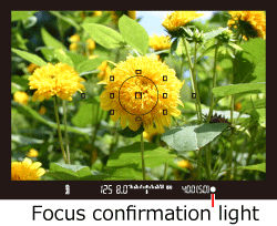 Shooting with Focus Lock (EOS 6D)