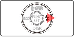 Setting the Flash (Flash On)