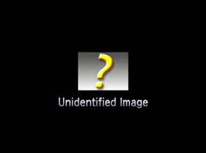 [Unidentified Image] message is displayed, and the image will not play ...