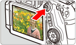 Live View Shooting (Photos) with the Default Settings (EOS 70D)